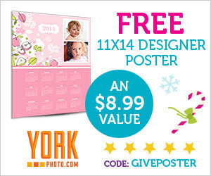 FREE 11x14 Designer Poster (+ $3.74 Ship) | The CentsAble Shoppin