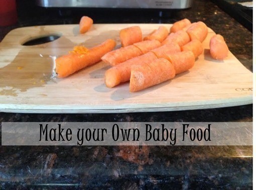 Simple Ways to Make your Own Baby Food with Inexpensive Organic Produce ...