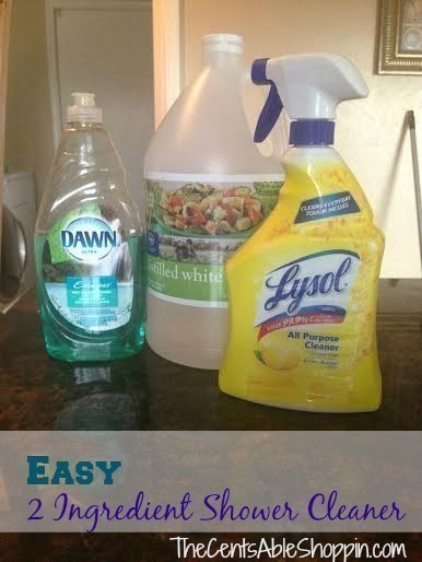 DIY: 2 Ingredient Shower Cleaner Solution | The CentsAble Shoppin