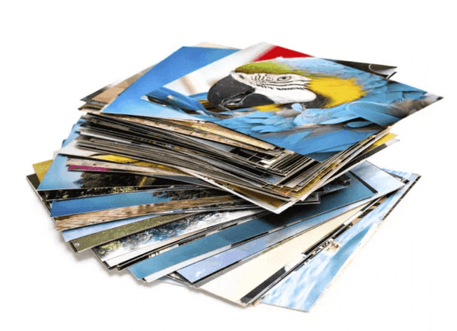 Shutterfly Score 50 FREE 4x6 Prints Just Pay Shipping The Shutterfly Score 50 FREE 4x6 Prints Just Pay Shipping The