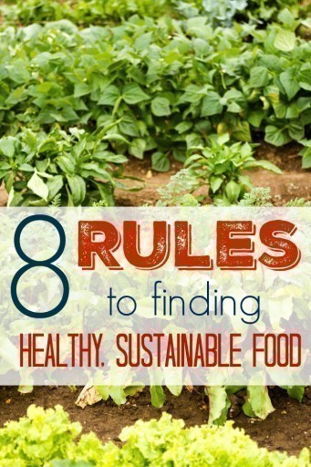 8 Rules to Finding Healthy, Sustainable Food | The CentsAble Shoppin