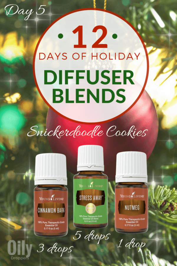 12 Days of Holiday Diffuser Blends (Snickerdoodle Cookie) | The ...