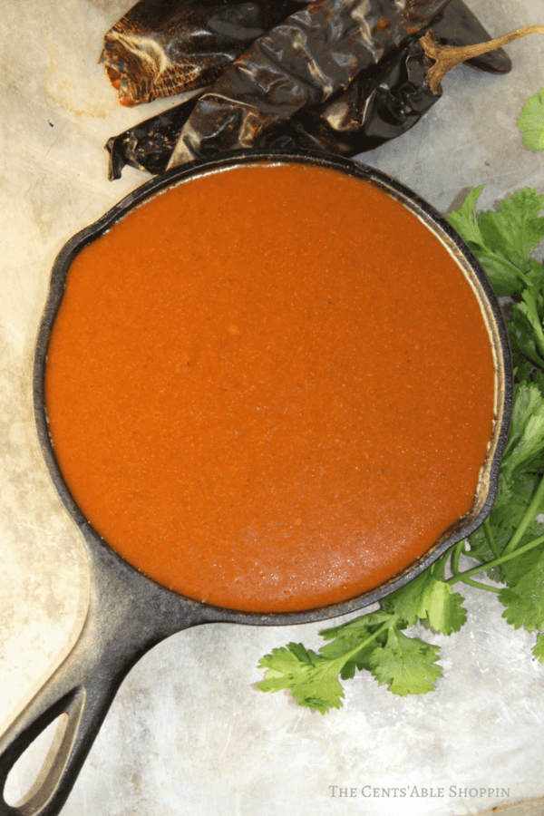 Easy 30 Minute Mole | The CentsAble Shoppin