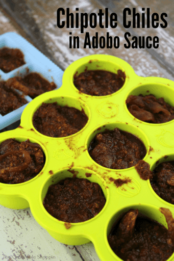 How to Make Chipotle Chiles in Adobo Sauce | The CentsAble Shoppin
