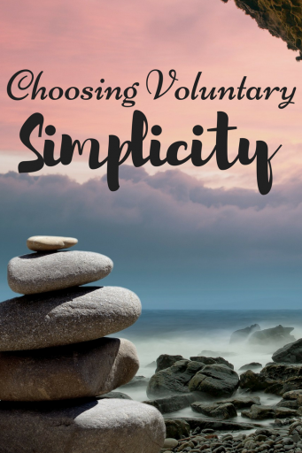 Choosing Voluntary Simplicity | The CentsAble Shoppin