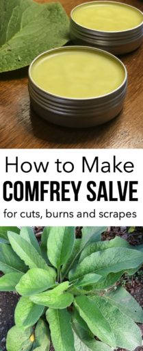 How to Make Comfrey Salve | The CentsAble Shoppin