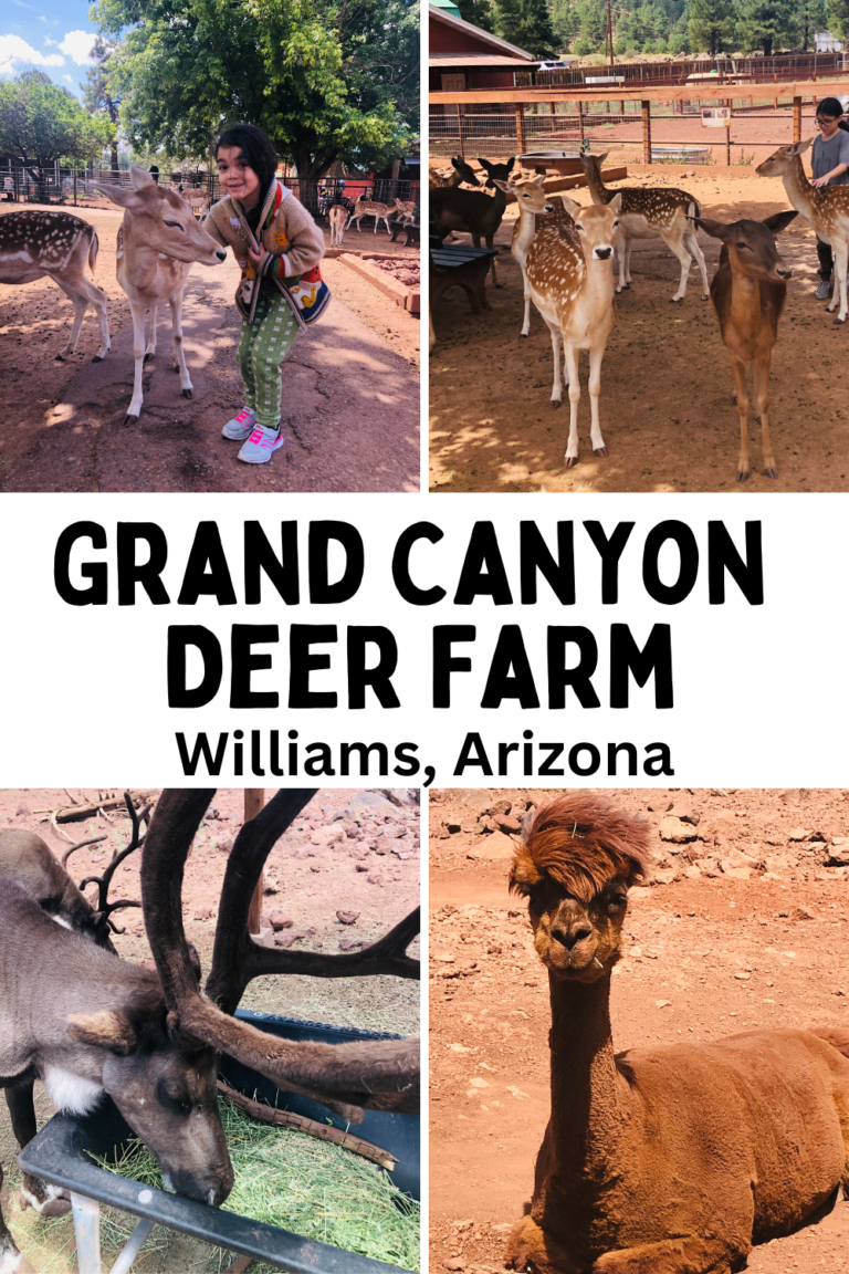 Visit the Grand Canyon Deer Farm | The CentsAble Shoppin